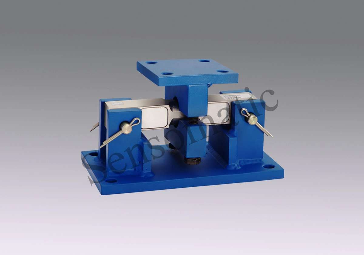 Low Capacity Tank mount assembly (DESB-T) - Sensomatic